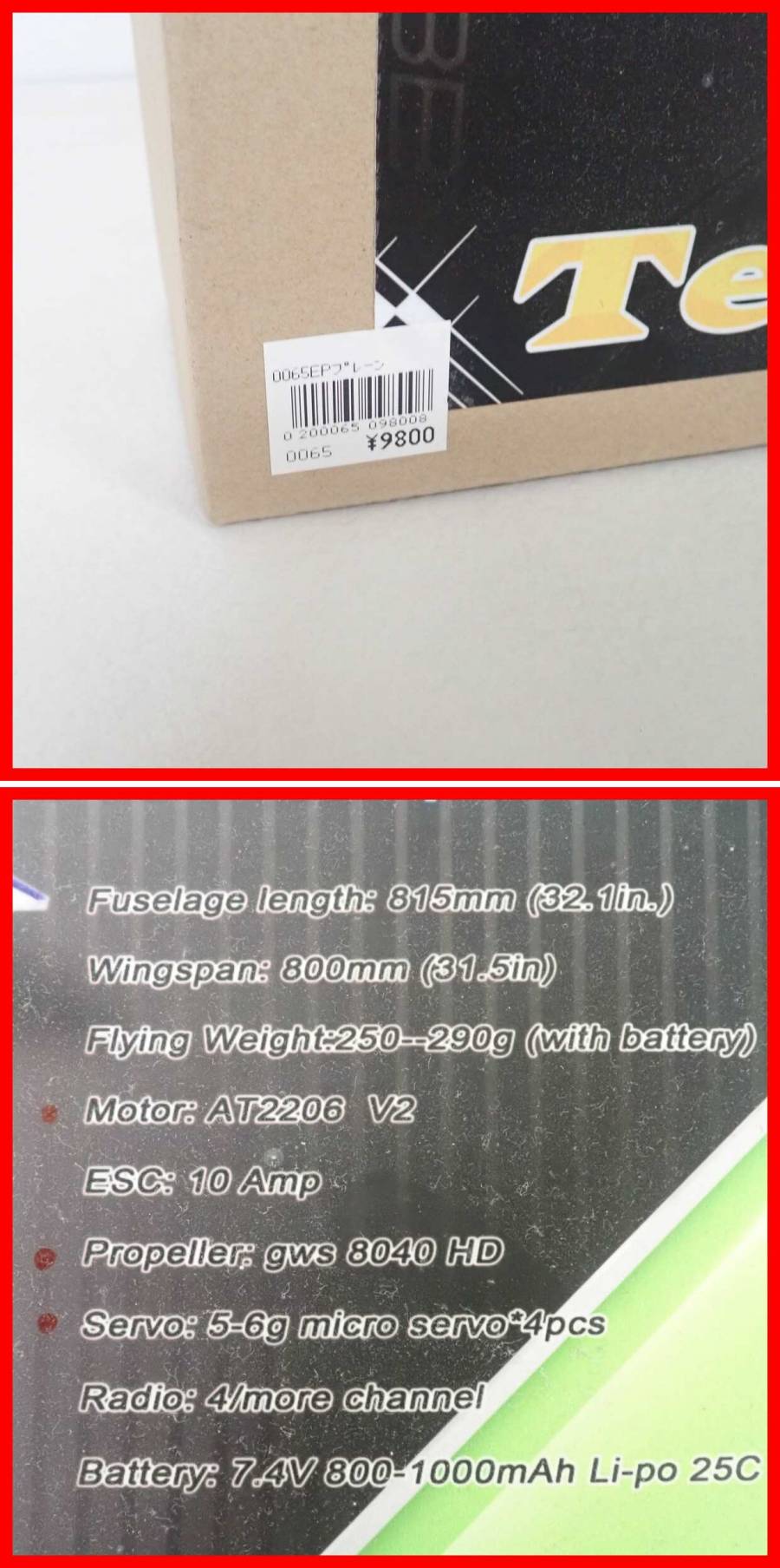 日本代購代標第一品牌【樂淘letao】－☆未組立 TECHONE mini Tempo 3D EPP 機体キット メカレス ラジコン飛行機キット【40