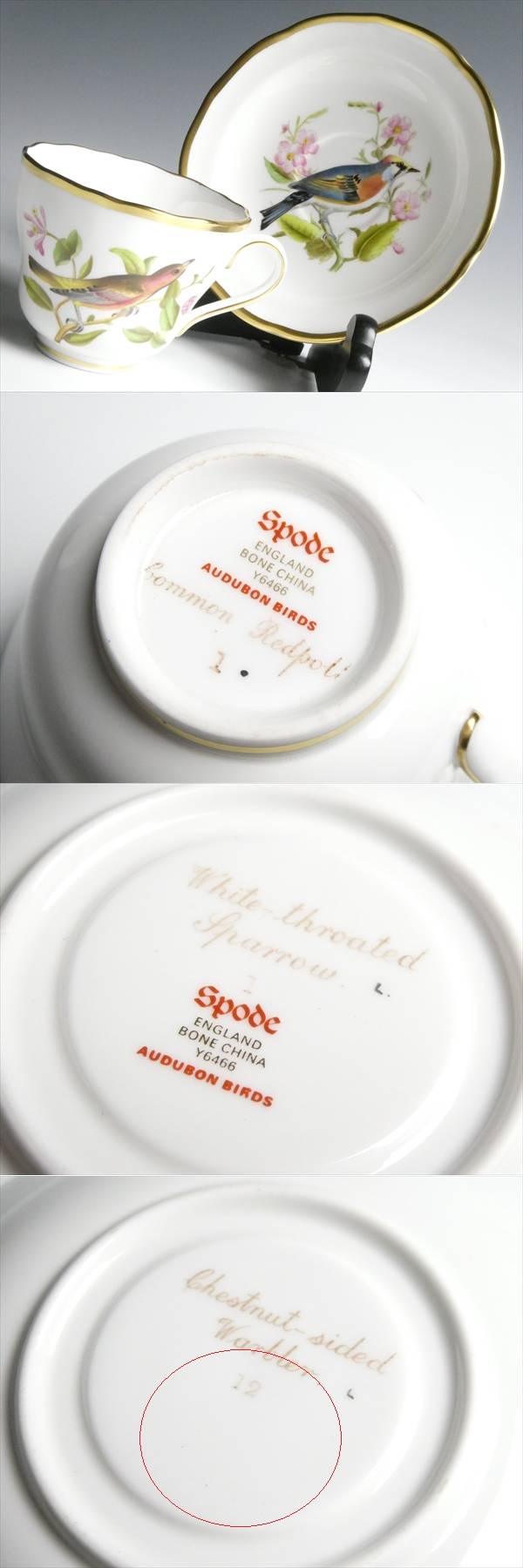 日本代購代標第一品牌【樂淘letao】－n188 Spode スポード オーデュボン バード 鳥絵 ⑧ 絵変り カップ＆ソーサー 12客